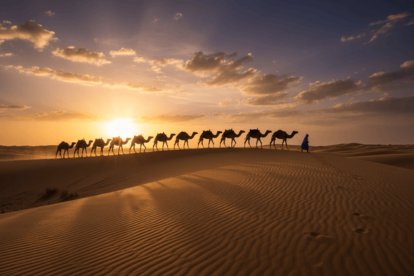 Morocco Private & Group Tours 2026 | Morocco Tours Group – https ...